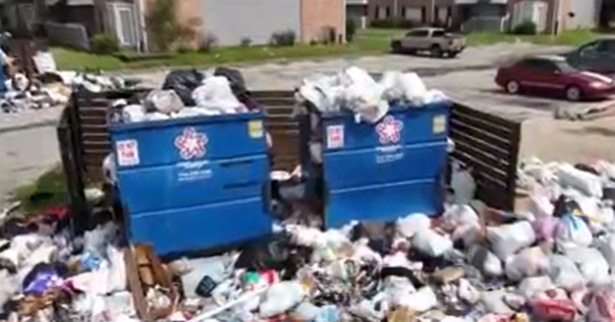 Waste management company sweeps in to help clean up Westbury Reserve ...