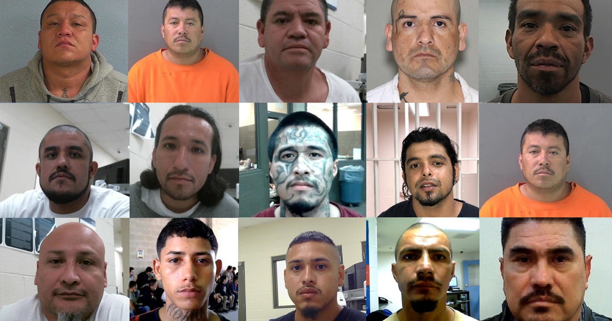 ICE Houston arrests more than 350 gang members in past 6 months | FOX ...