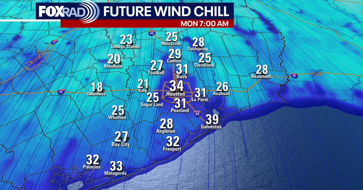 Houston weather: Near record highs Saturday, cold to start the work ...