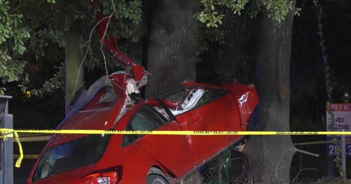One killed after vehicle strikes tree in East Houston, police say | FOX ...