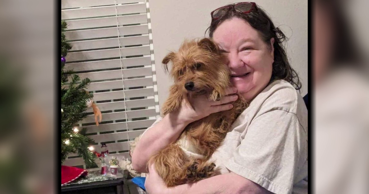 79-year-old woman watches in horror as terrier mix she's walking is ...