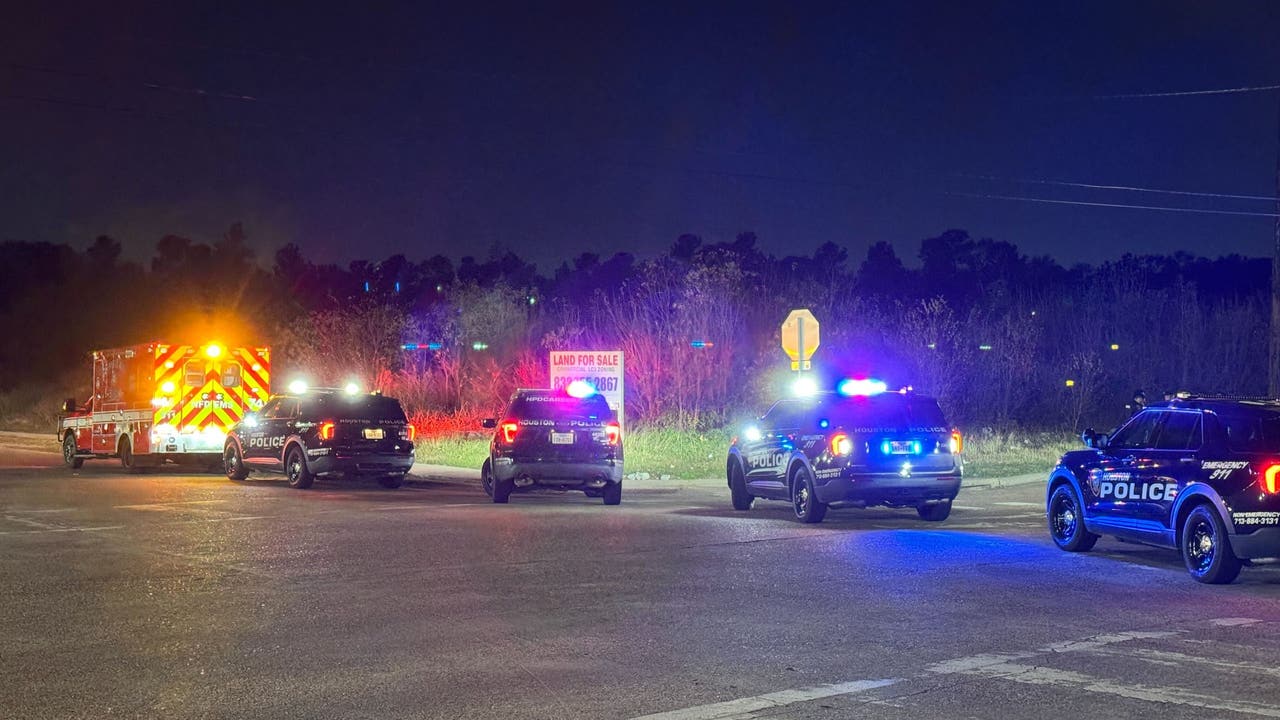 Houston police car catches fire after crash involving robbery suspect ...