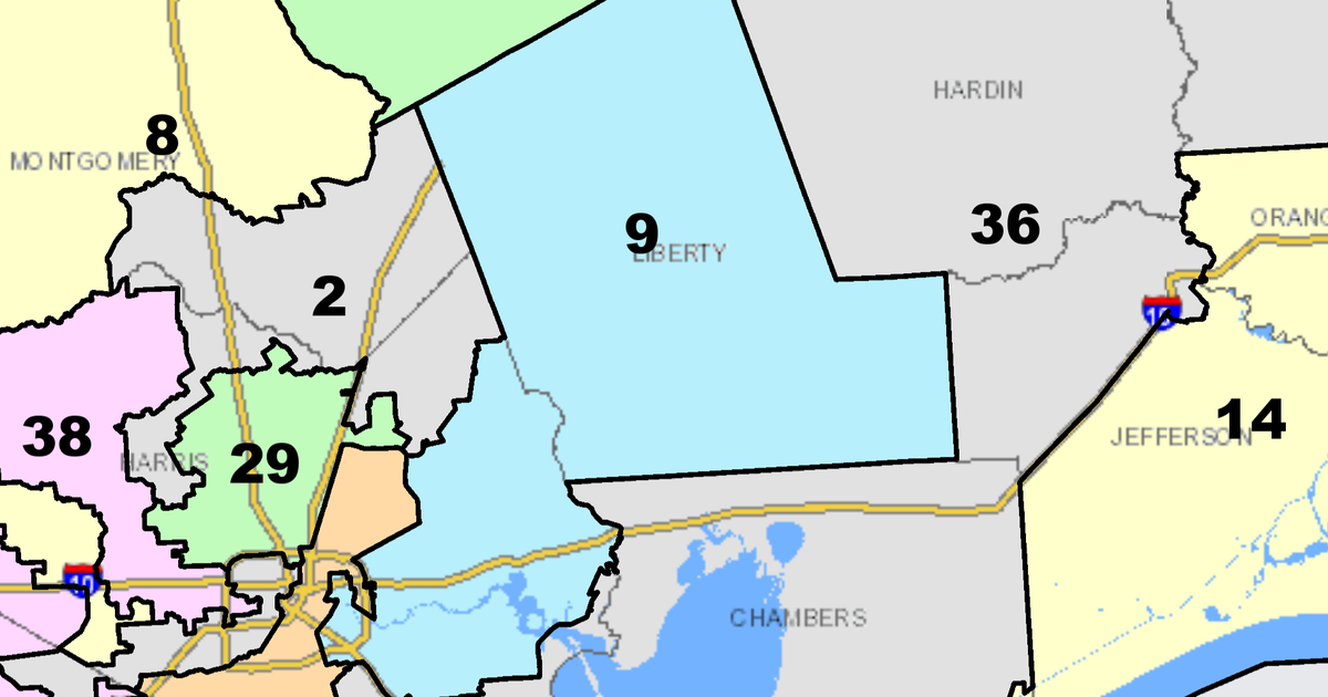 U.S. representative for Texas’ 9th Congressional District: Primary ...