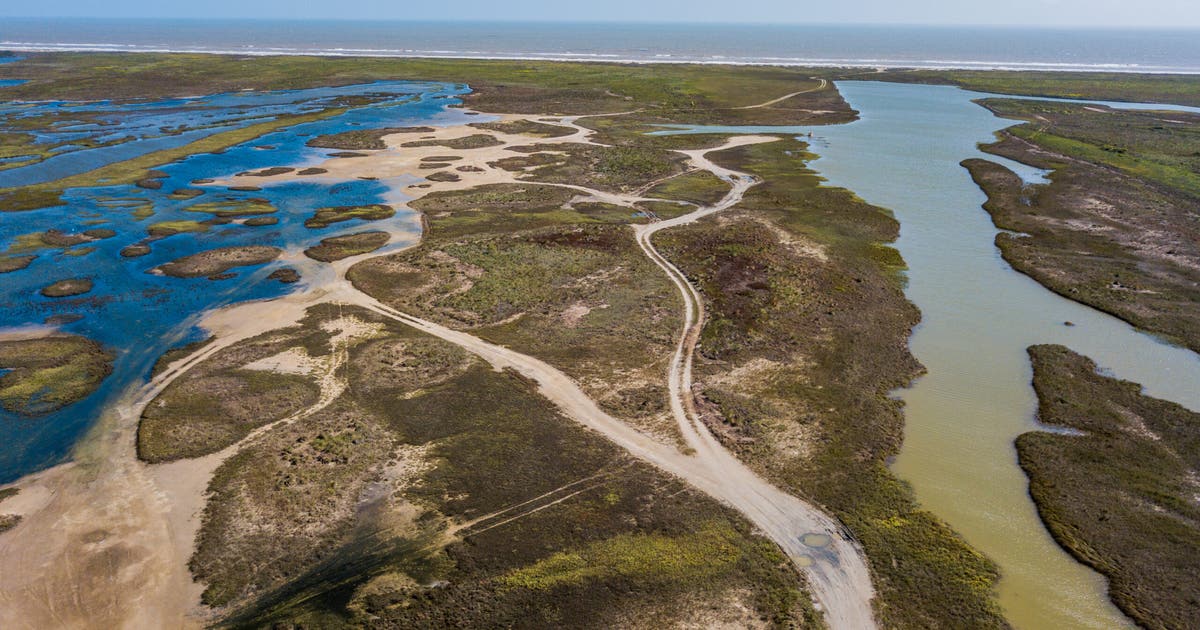 TPWD awards $3M for gulf coast shoreline protection and habitat ...