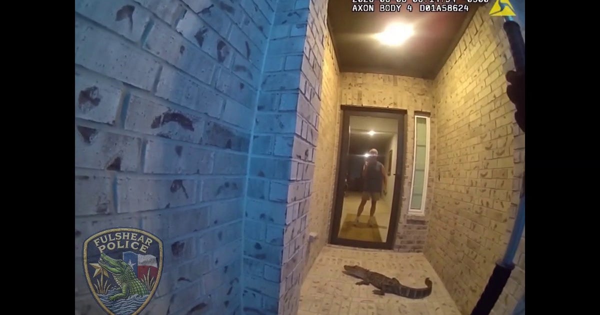Texas Man Mistakes Front Porch Alligator for Amazon Package | FOX 4 ...