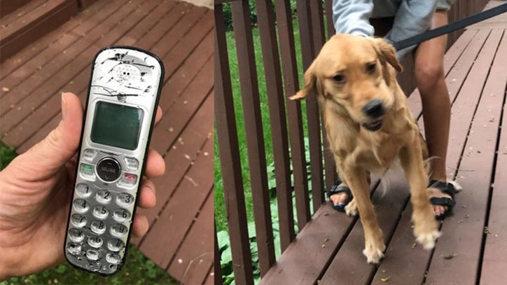 Dog uses phone as chew toy, dials 911 | FOX 29 News Philadelphia