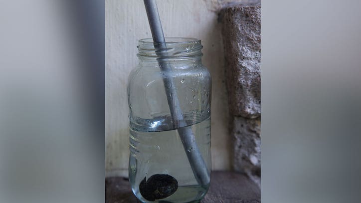 Woman dies after falling on metal straw that went through her eye and ...