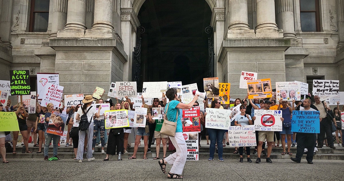 'Do Better Philly': ACCT supporters push for more funding | FOX 29 ...
