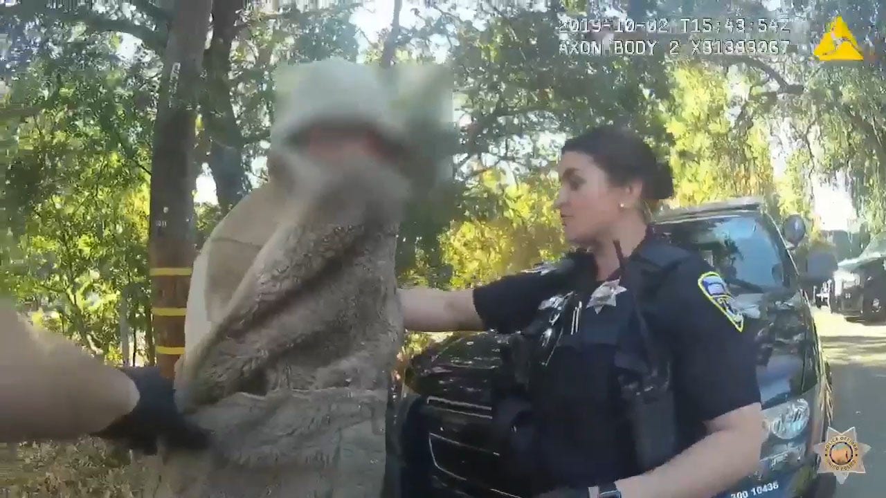 ‘You gave me a heart attack’: Lizard leaps out of man's pocket during ...