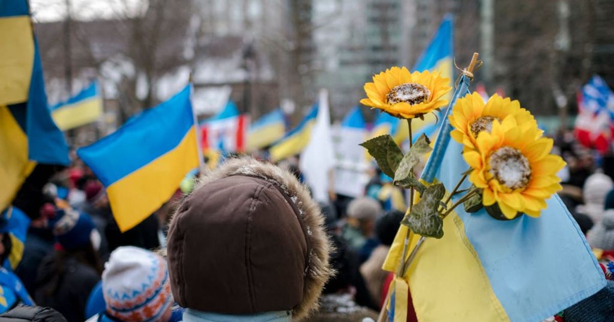How sunflowers, Ukraine's national flower, became a symbol of ...