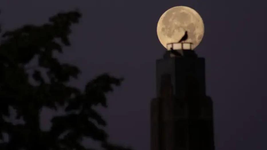 July's full 'Buck Moon' will be the brightest Supermoon of the year ...