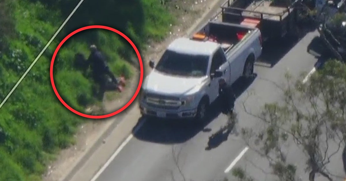Police chase: LAPD officers tackle pursuit suspect on 405 Freeway near ...