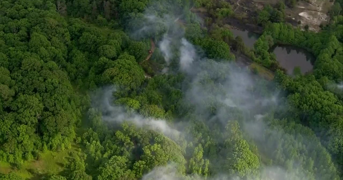 Uncontained forest fire burning in Salem County, officials say | FOX 29 ...