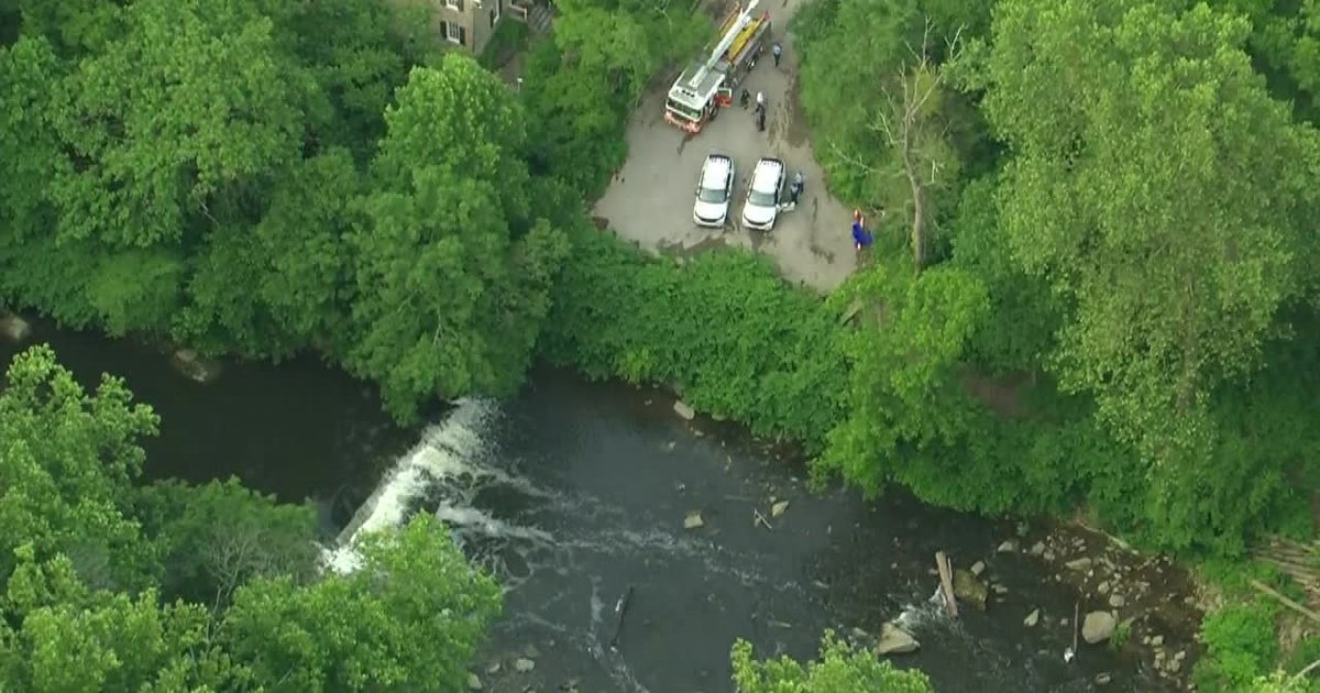 Man dies of apparent drowning after falling into Devil's Pool in ...