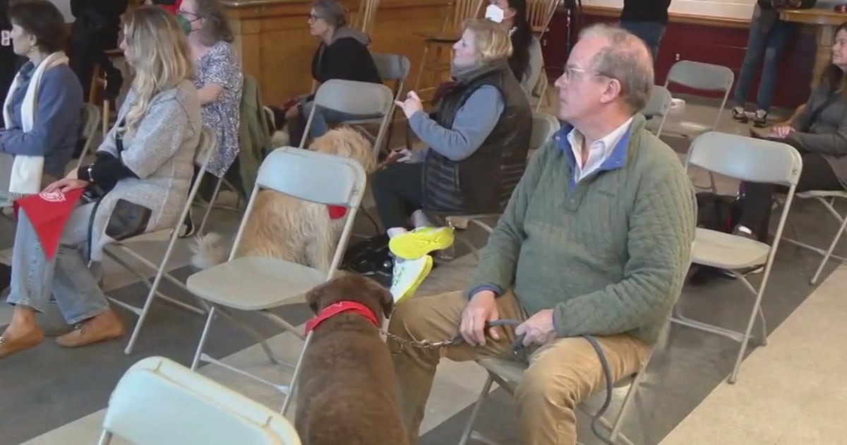 Dog walkers receive free training in community watch after series of ...