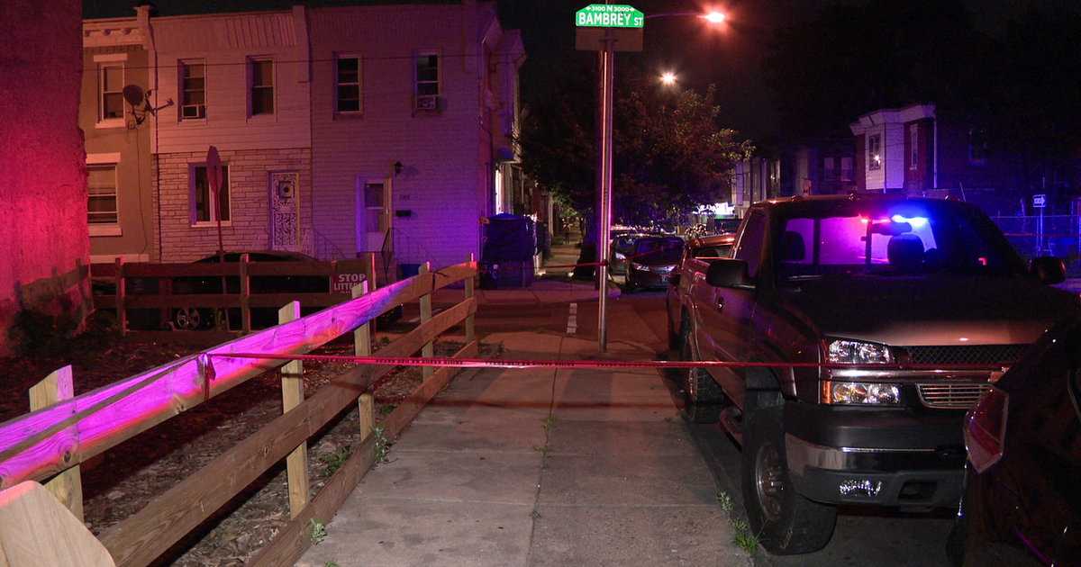 Pitbull shot while defending owner from physical struggle with armed ...