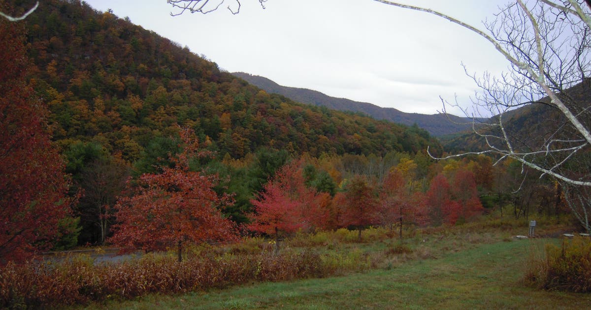 Fall foliage: How to track fall colors in Pennsylvania, New Jersey ...