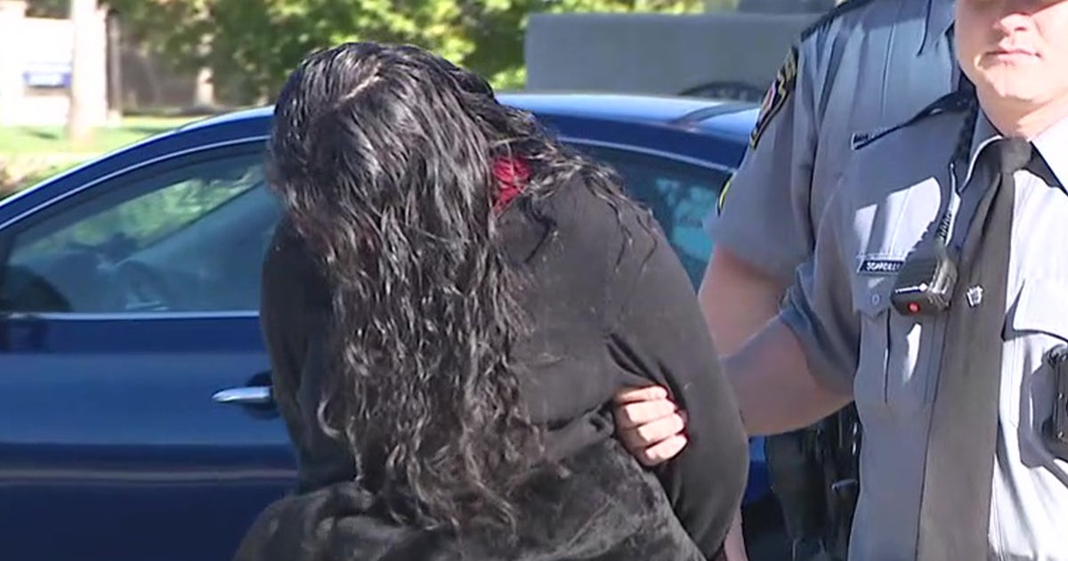 Dimple Patel turns herself into police after deadly I-95 crash in March ...