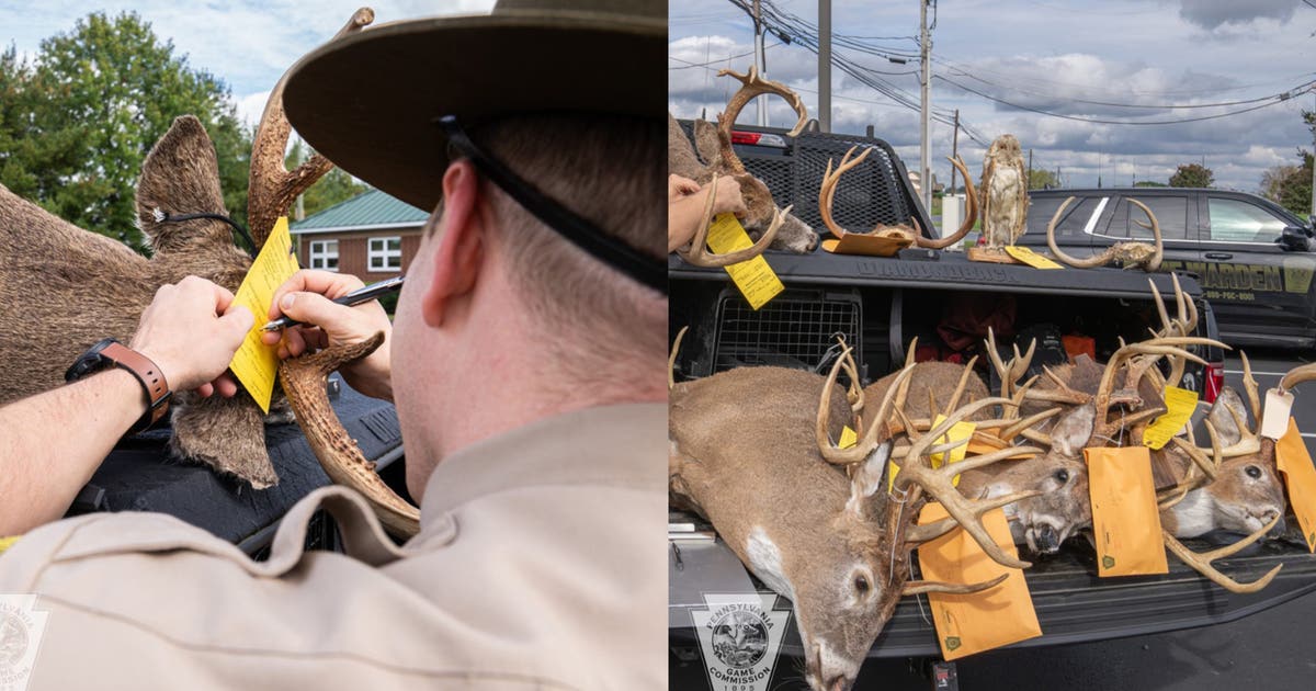 Poaching ring bust: Father, sons charged with illegally killing trophy ...