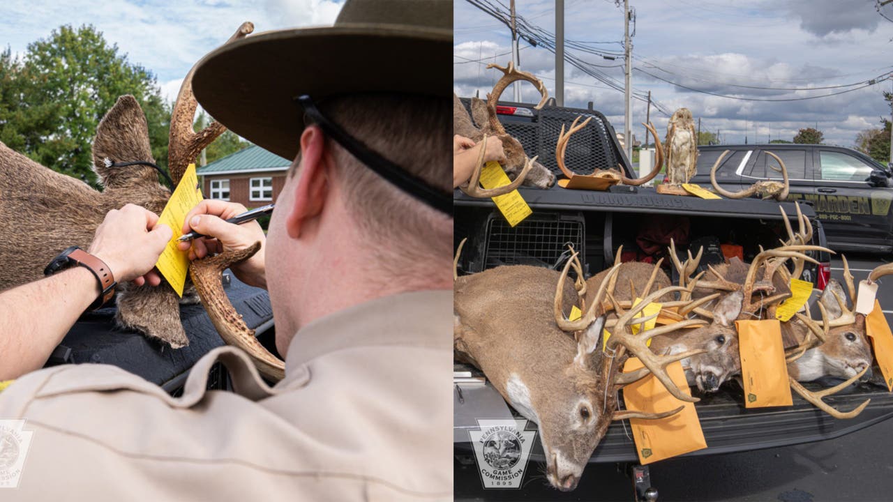Poaching ring bust: Father, sons charged with illegally killing trophy ... Poaching ring bust: Father, sons charged with illegally killing trophy ...