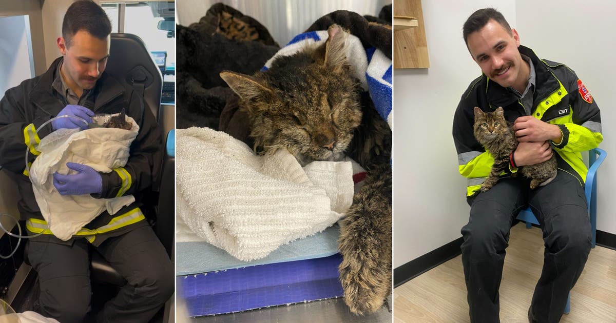 Kitten adopted by EMT who helped save his life after Camden fire | FOX ...
