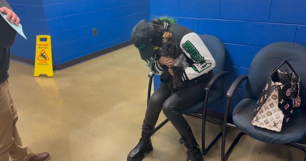 Beloved dog returned to Philadelphia Eagles Kelee Ringo, mom | FOX 29 ...