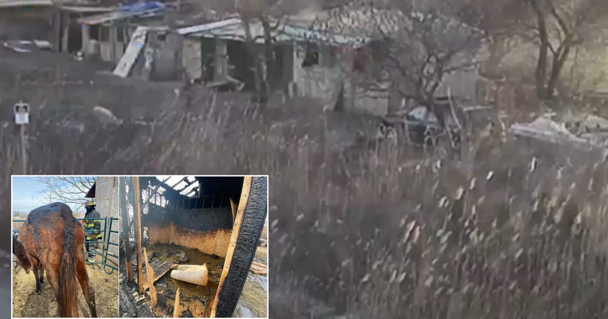 Arson suspect wanted for Philly stable fire that killed 2 horses ...