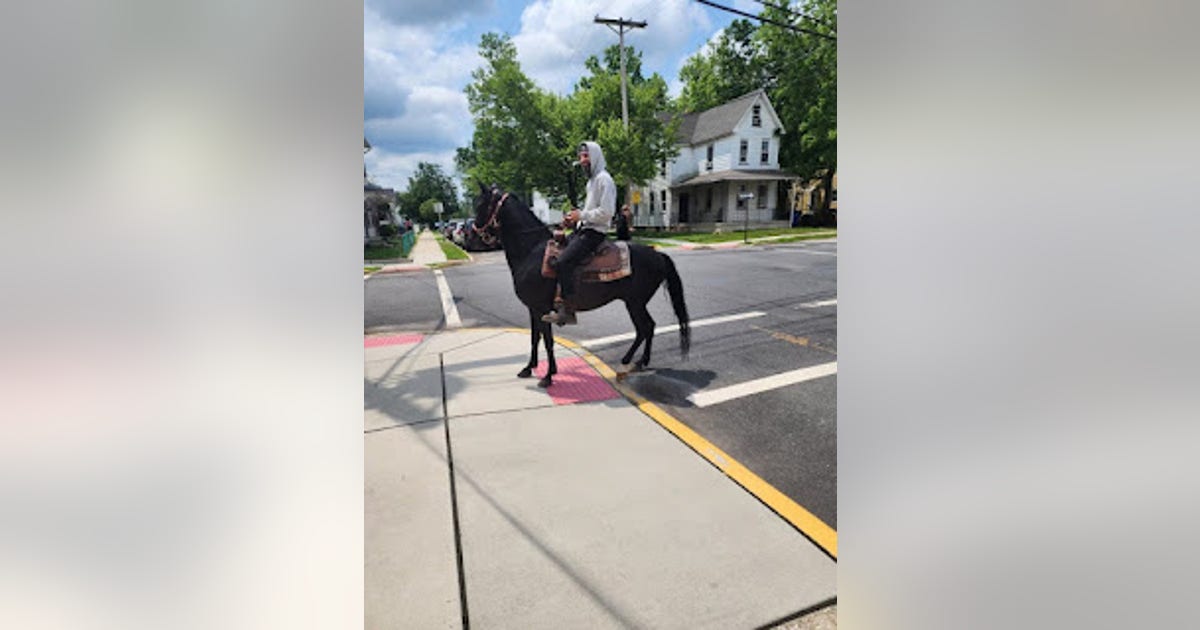 Man on horse helps police catch hit-and-run suspect in small NJ town ...