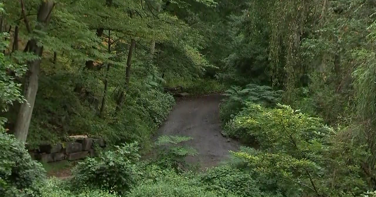 Coyote sightings at Philadelphia park sparks wildlife reminder | FOX 29 ...