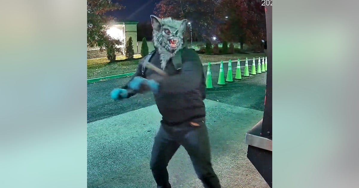 Suspect wearing wolf mask arrested for robbery in Woodbury: police ...