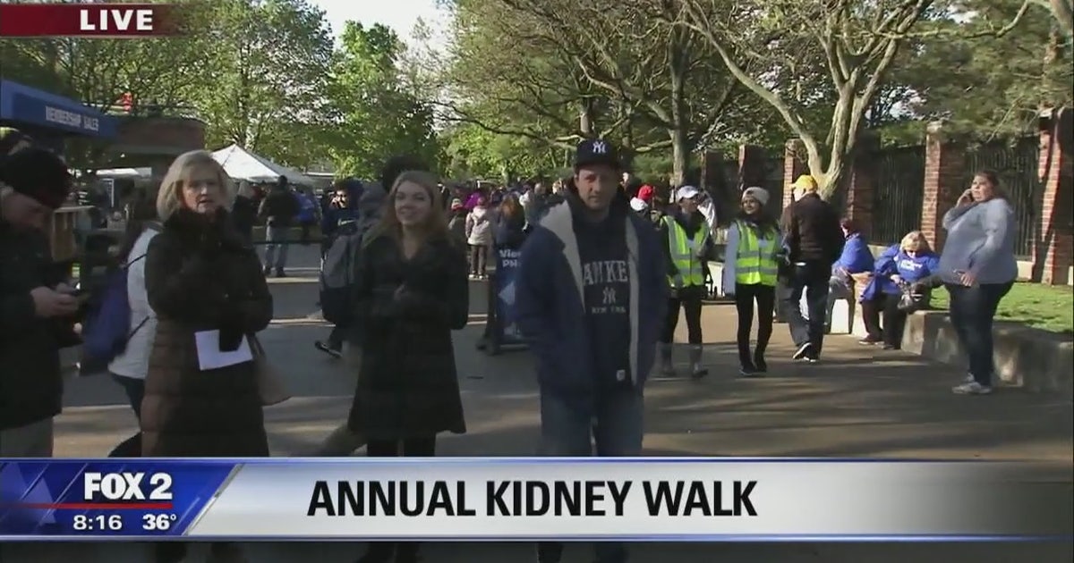 20th Annual Kidney Walk at the Detroit Zoo | FOX 2 Detroit