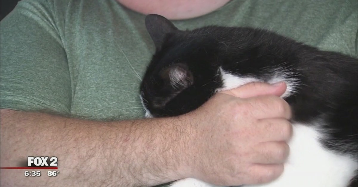 Doug and P-Funk: Veteran and cat paired up in program hit it off | FOX ...