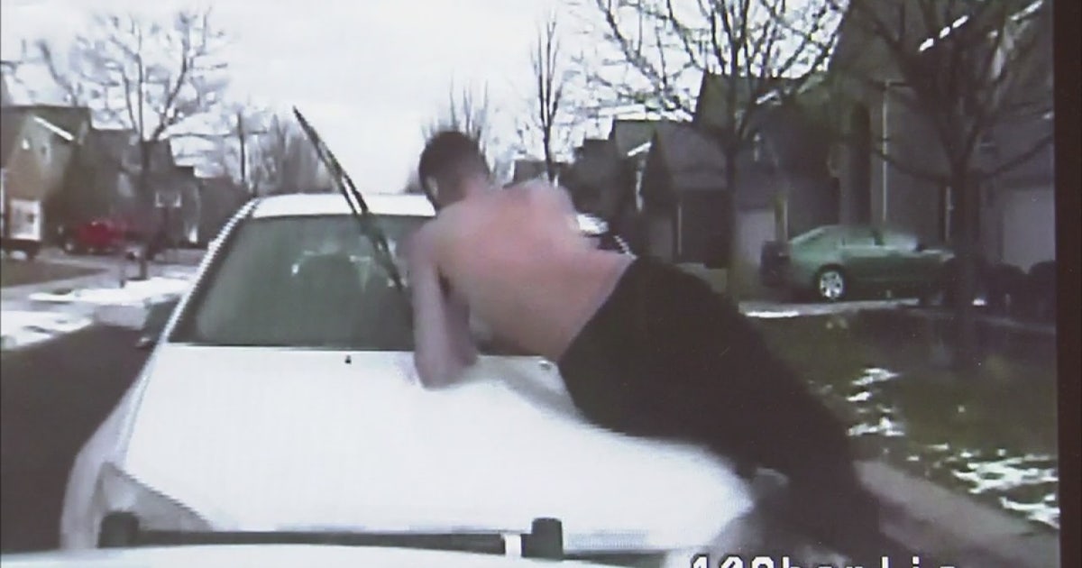 Fight between brothers leads to police car collision | FOX 2 Detroit