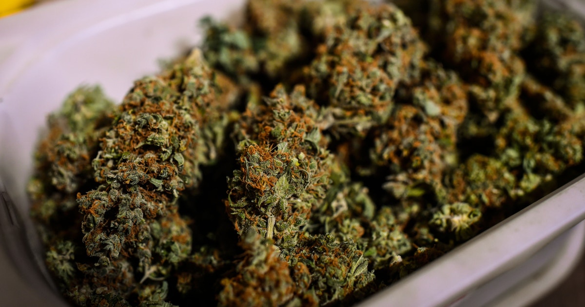 Detroit marijuana grower loses license after numerous issues identified ...