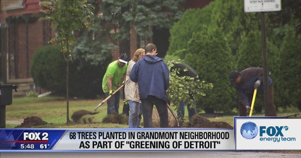 Greening of Detroit plants nearly 70 new trees in Grandmont community ...