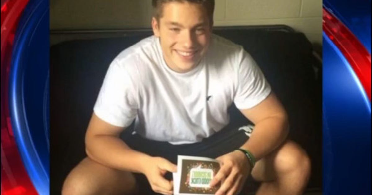 CMU student killed in hit-and-run saving girl; 3 months after brother ...