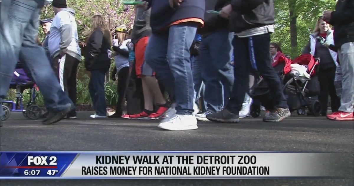 Thousands flood Detroit Zoo in kidney walk | FOX 2 Detroit