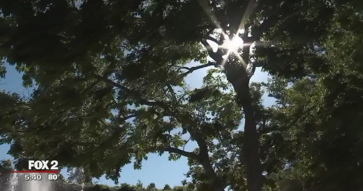 Dry heat vs. humidity: what's better for your body? | FOX 2 Detroit