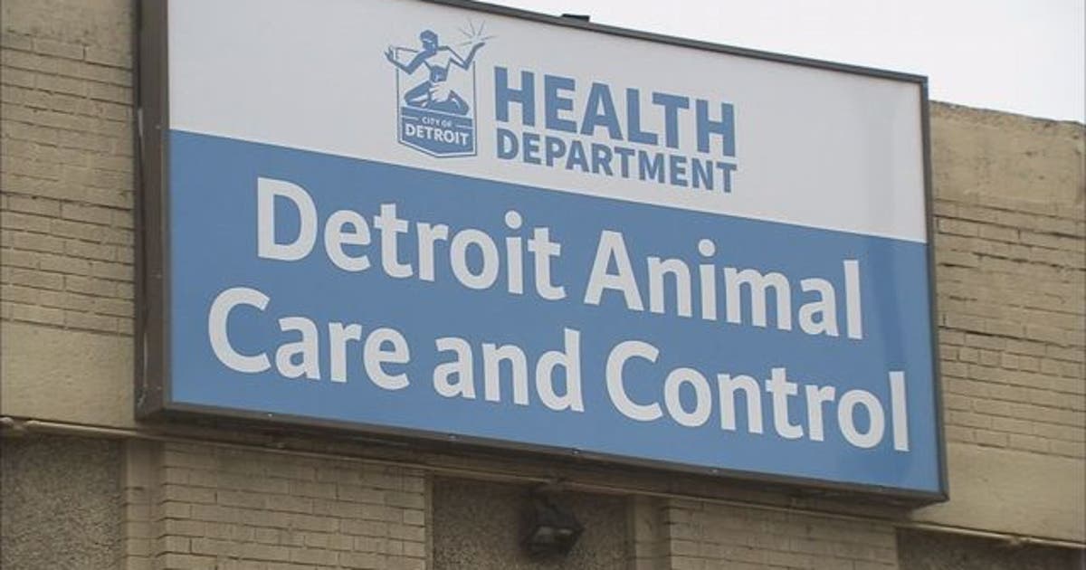 New DACC shelter closing temporarily, just days after grand opening ...