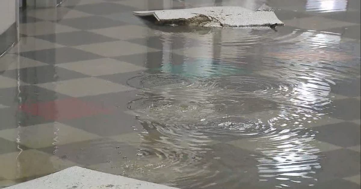 Burst pipes disrupting facilities as cold snap begins to thaw | FOX 2 ...