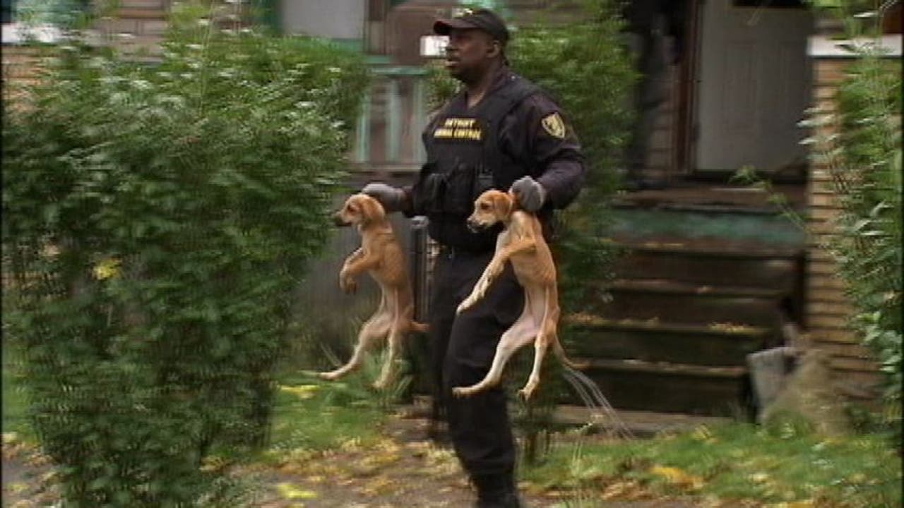 Judge awards dog mauling victim $100 million in one of the 'worst ...