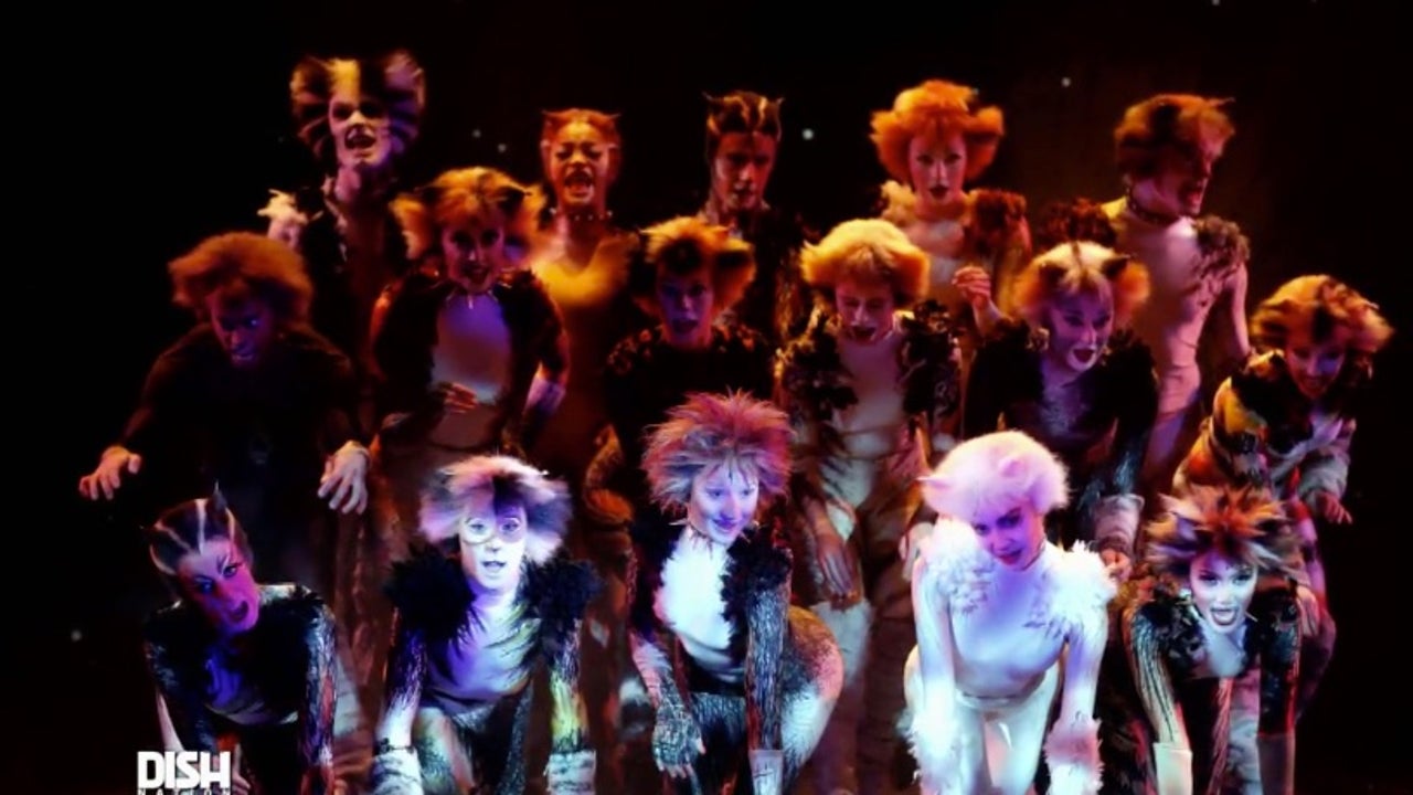 The 'Cats' musical had a 'ruff' performance in NYC