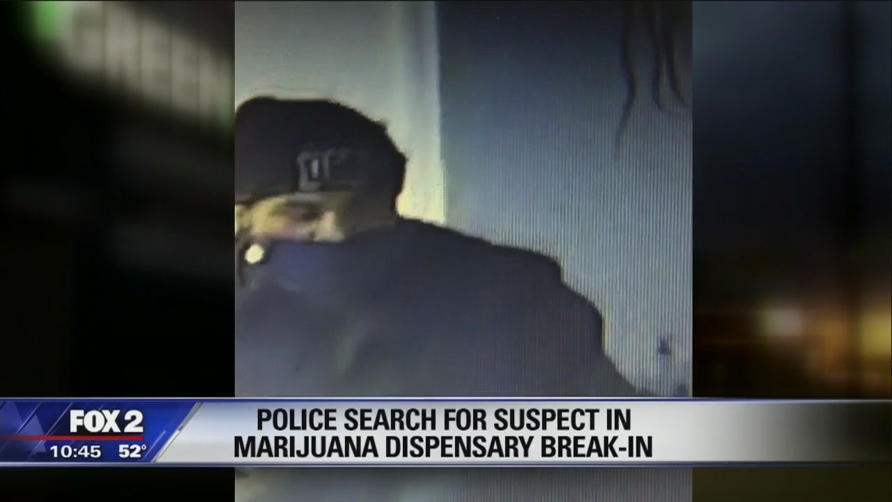 DPD searches for suspect in marijuana dispensary break-in | FOX 2 Detroit DPD searches for suspect in marijuana dispensary break-in | FOX 2 Detroit