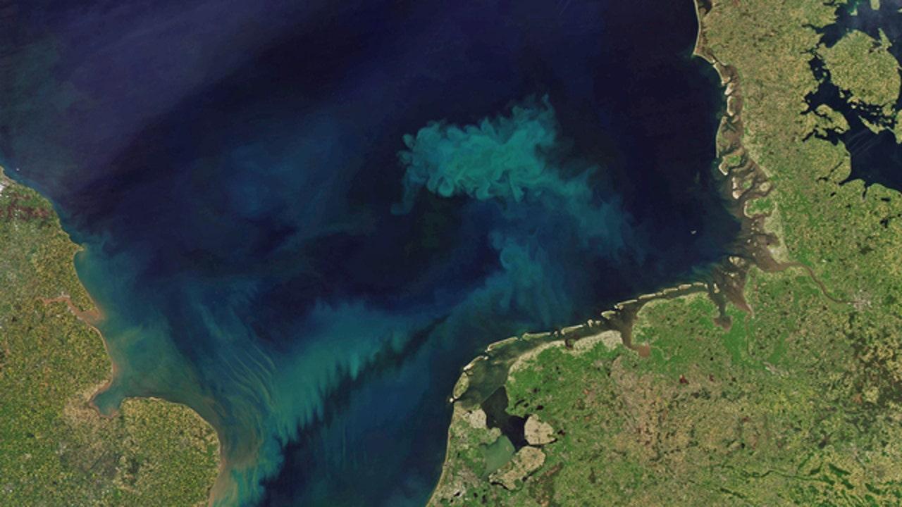 Global warming is changing the color of the oceans | FOX 2 Detroit