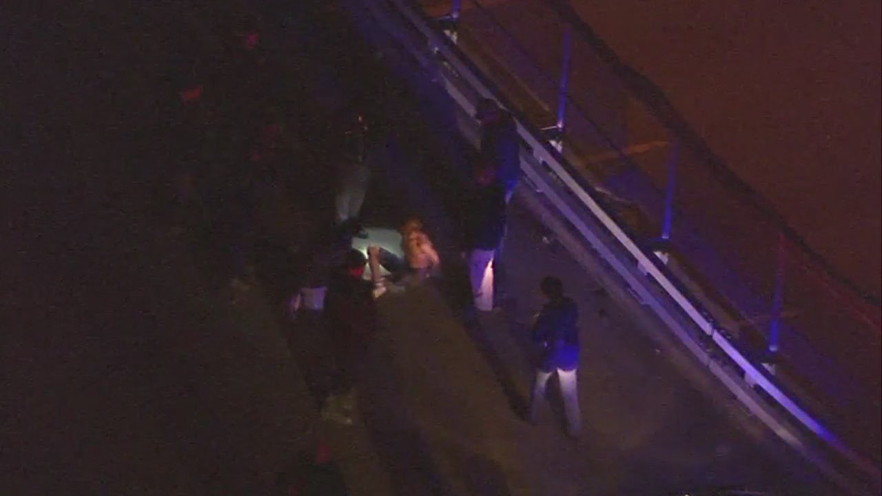 Police: Freeway overpass standoff started with carjacking