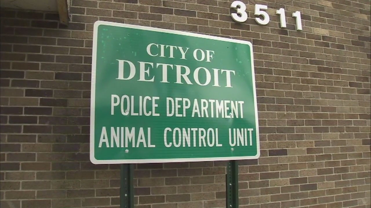 Protesters sit-in at Detroit Animal Control, demand change | FOX 2 Detroit