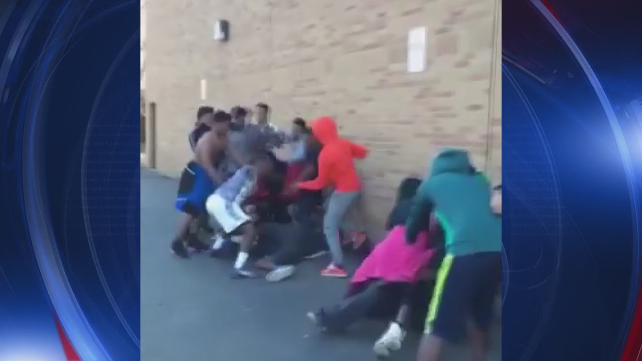 school fights