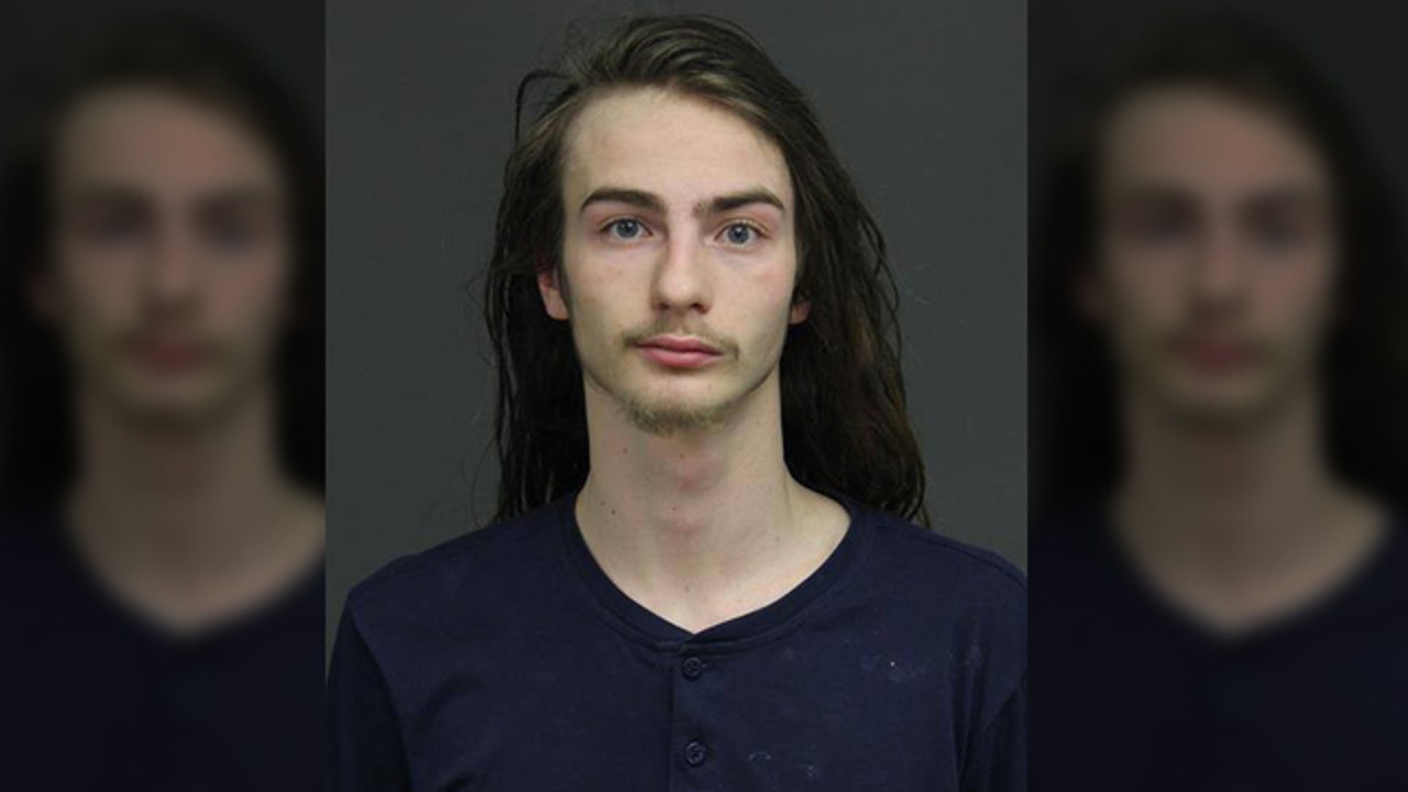 Suspect charged in murder of man shot in head in Eastpointe basement ...