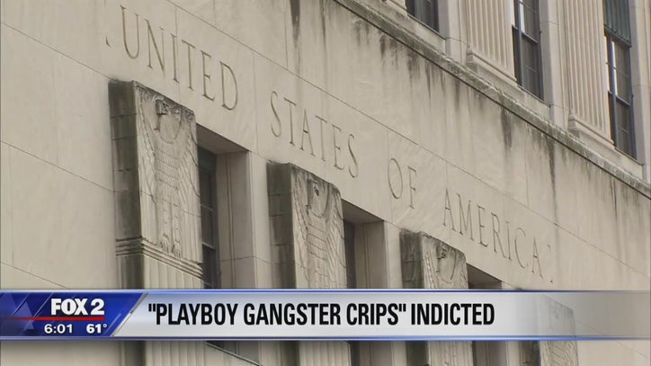 14 members of Detroit's Playboy Gangster Crips gang arrested for slew ...