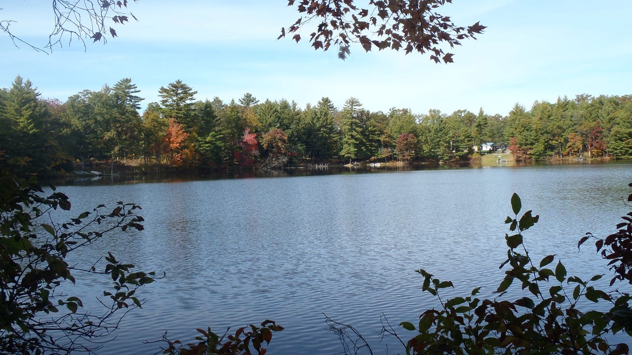 Lakefront properties, secluded forests and winding trails among land ...